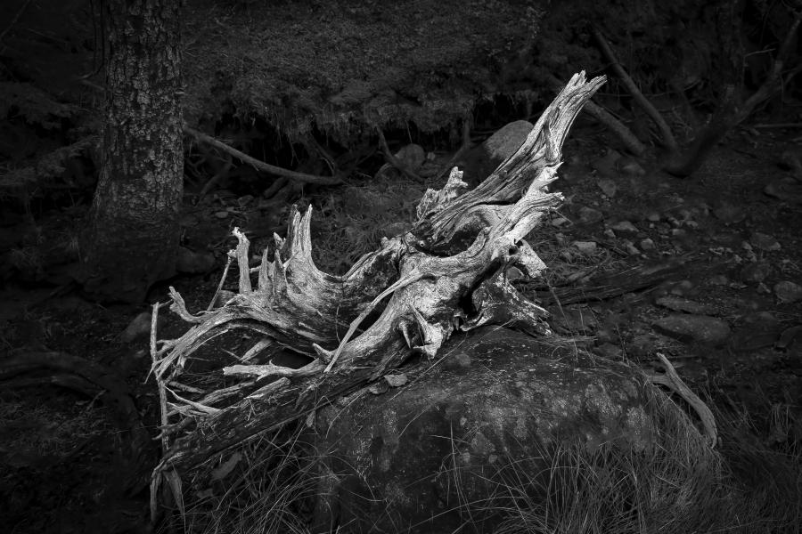 Gallery | Points Of View Artists of Brunswick, Maine